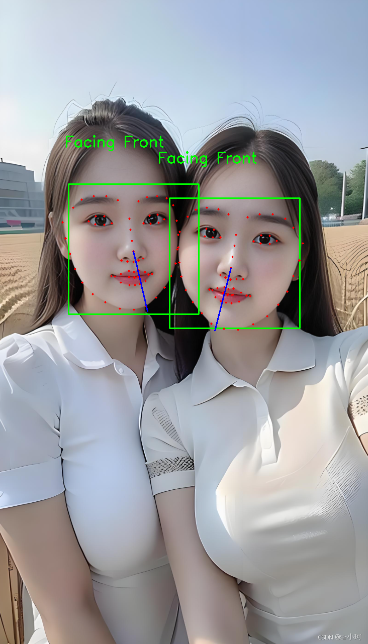 基于yolov5与dlib+opencv的头部姿态估计（内附完整代码）_python 头部姿态估计-CSDN博客