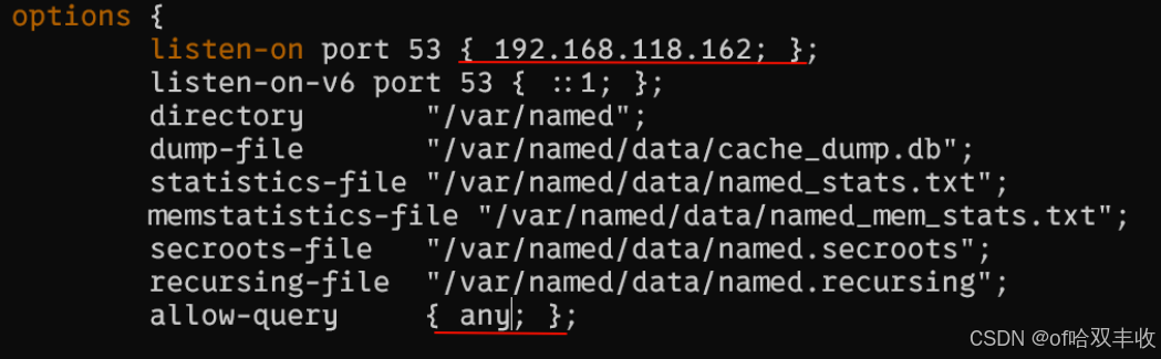 利用bind和bind-utils，配置linux1为主dns服务器，linux2为备用dns服务器。为所有linux主机提供冗余dns正反向解析服务_centos8 利用 bind 和 ...