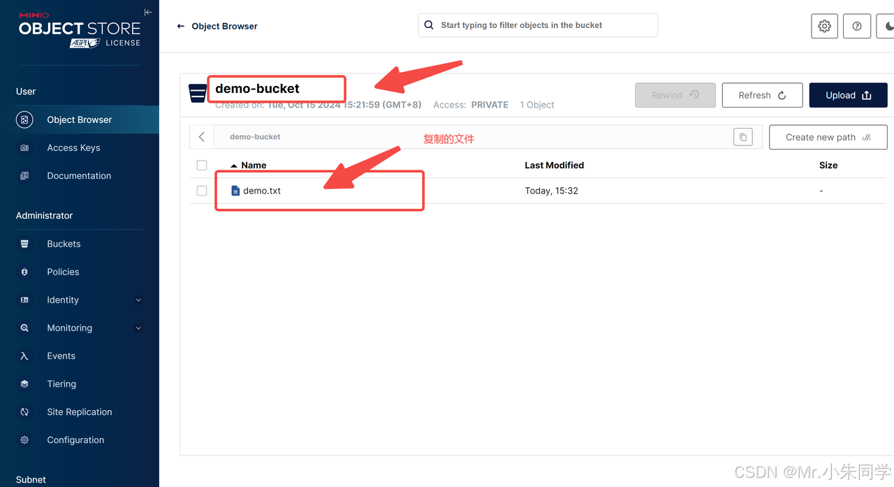 【软件安装】Linux服务器上安装Minio Client客户端（mc命令工具）-CSDN博客