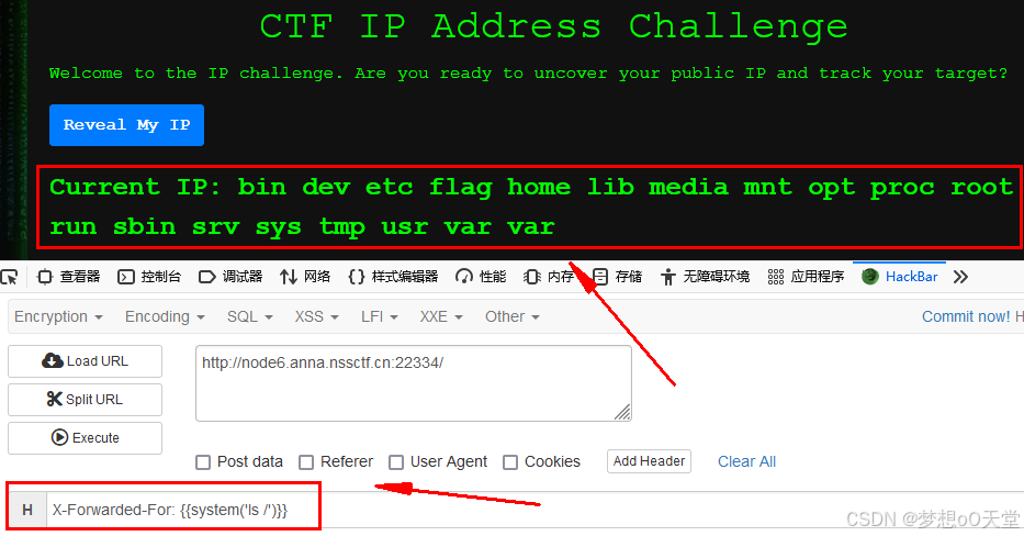 [SWPUCTF 2024 秋季新生赛]看看ip_ctf 看看ip-CSDN博客