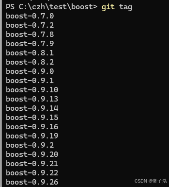 git拉取库不同版本_boost git-CSDN博客
