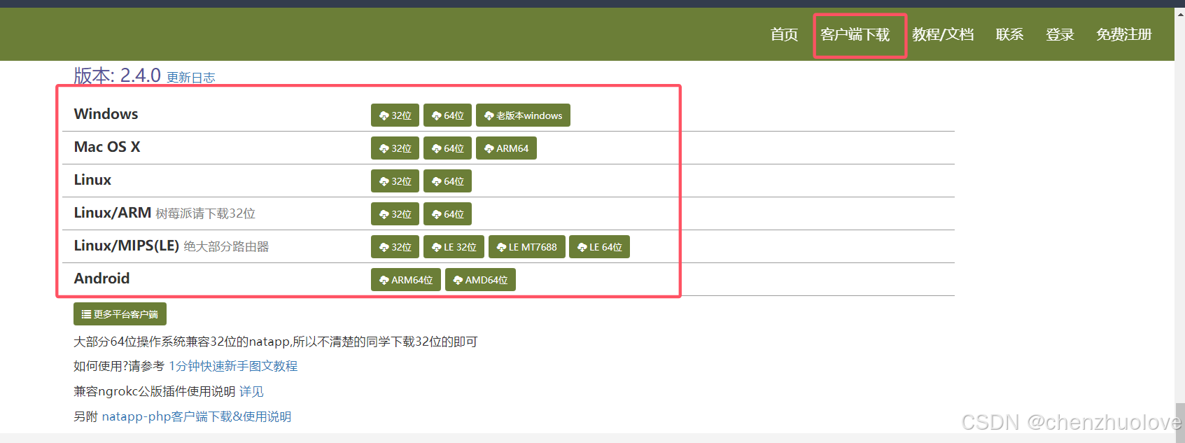 natapp在线访问vue启动的项目_natapp 304-CSDN博客