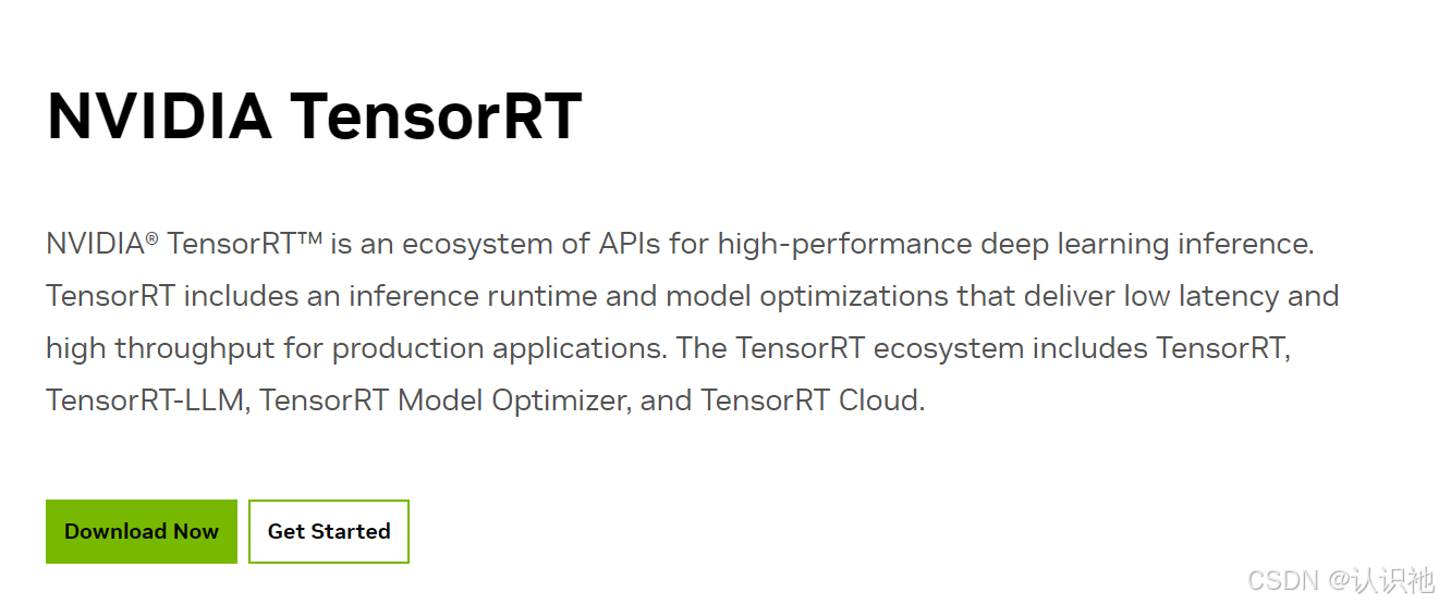 《深度解析 trtexec》TensorRT 的强大推理优化工具-CSDN博客