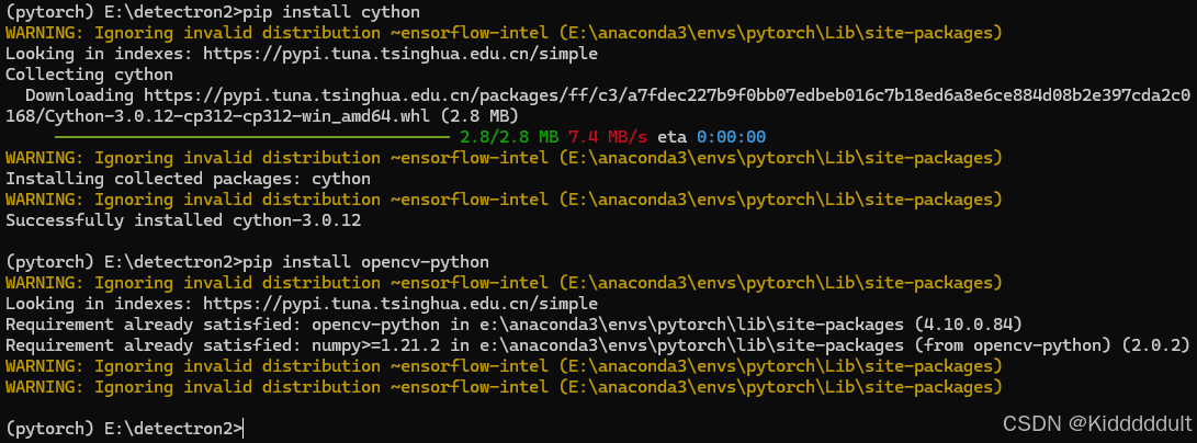 Windows 11安装部署Detectron2_安装detectron2-CSDN博客