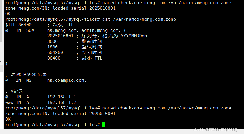 named-checkzone 命令介绍和是使用案例-CSDN博客
