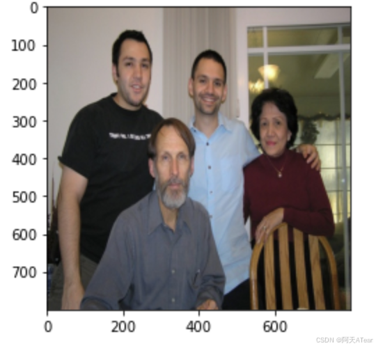 Pytorch使用fasterrcnn预训练模型实现目标检测并画出预测框pytorch Fasterrcnn预训练实例 Csdn博客 6213