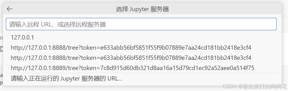 【VsCode连接实验室服务器】换jupyter notebook环境_vscode连接jupyterhub-CSDN博客