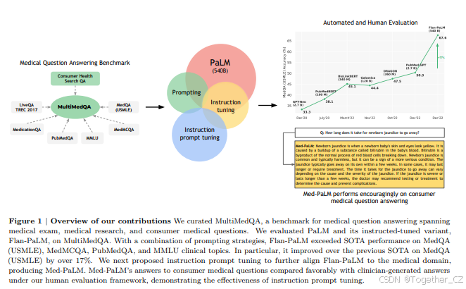 Large Language Models Encode Clinical Knowledge——大型语言模型编码临床知识-CSDN博客