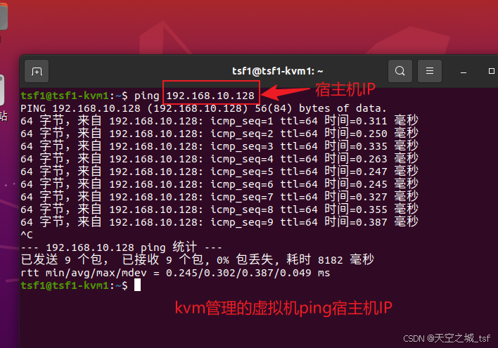 Ubuntu宿主机上安装KVM，使用KVM管理多个Ubuntu机器_ubuntu kvm-CSDN博客
