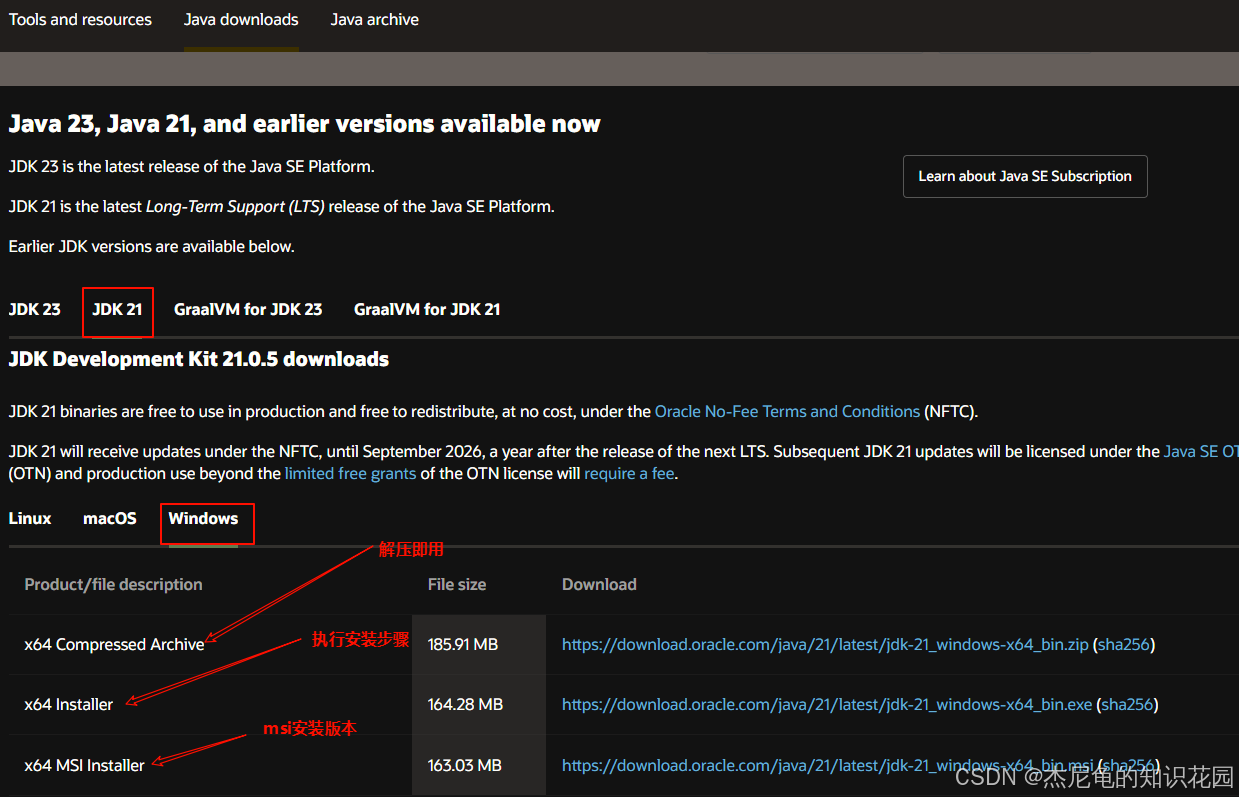 Windows安装配置Java_windows安装java21-CSDN博客