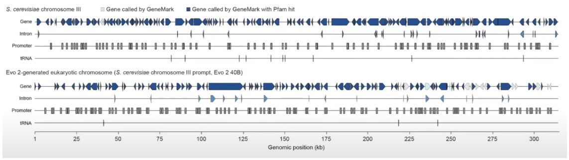 Evo2 论文讲解_基因 模型 evo2-CSDN博客