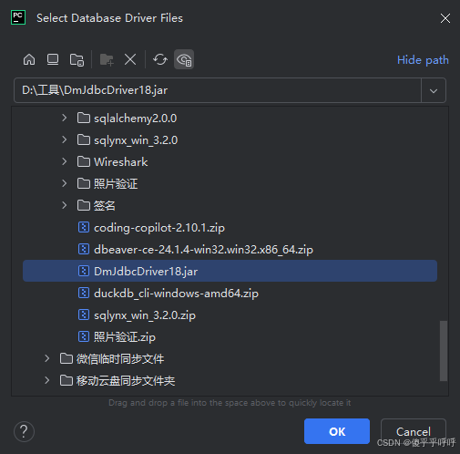 Pycharm + SQLAlchemy + pandas：连接与操作达梦数据库_python连接达梦数据库-CSDN博客