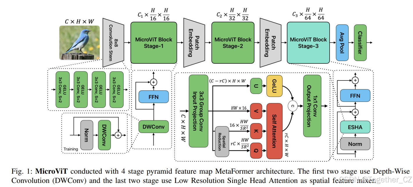 MicroViT: A Vision Transformer with LowComplexity Self Attention for ...
