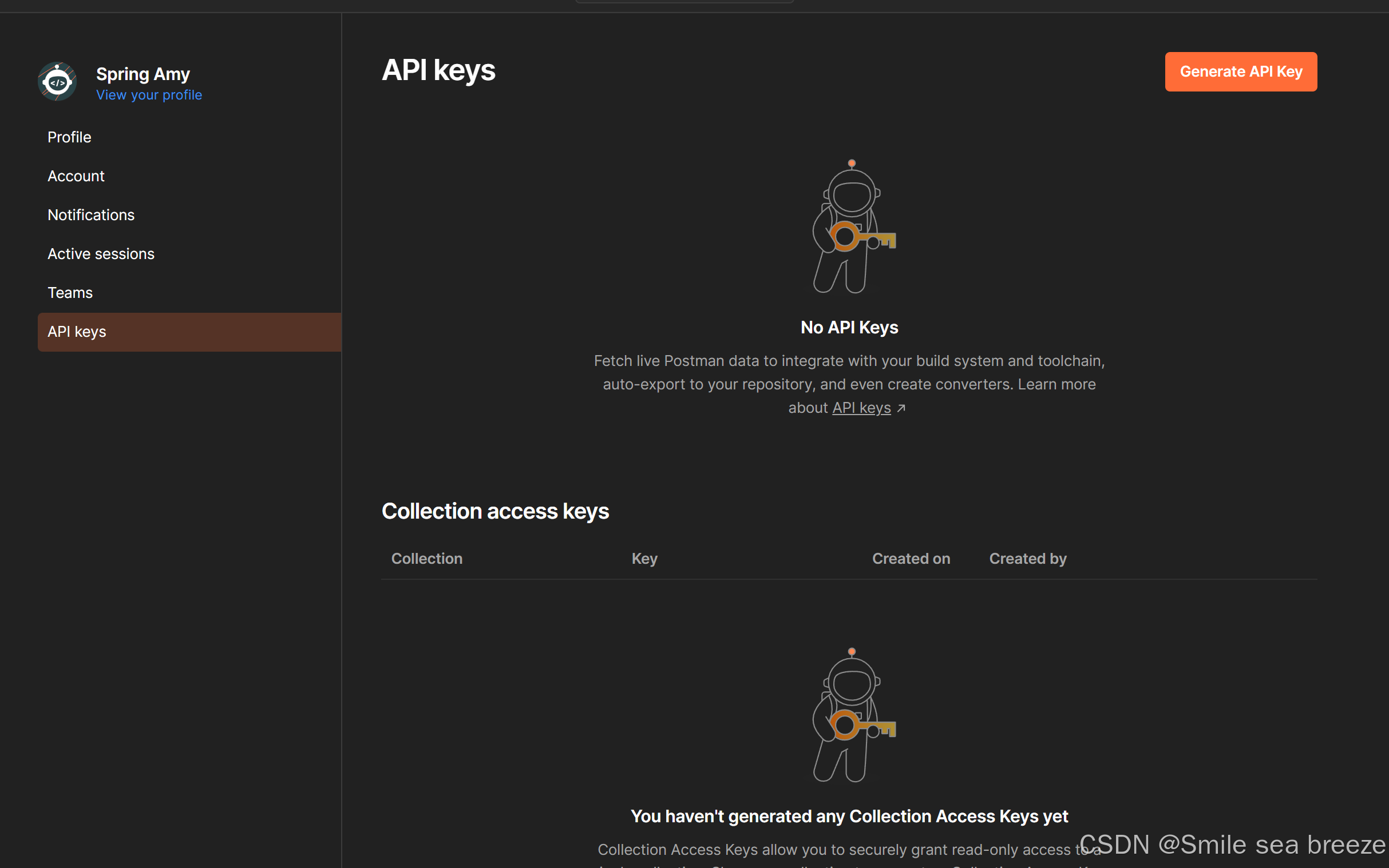 Postman 中生成 API 密钥（Postman API Key）的实现步骤-CSDN博客