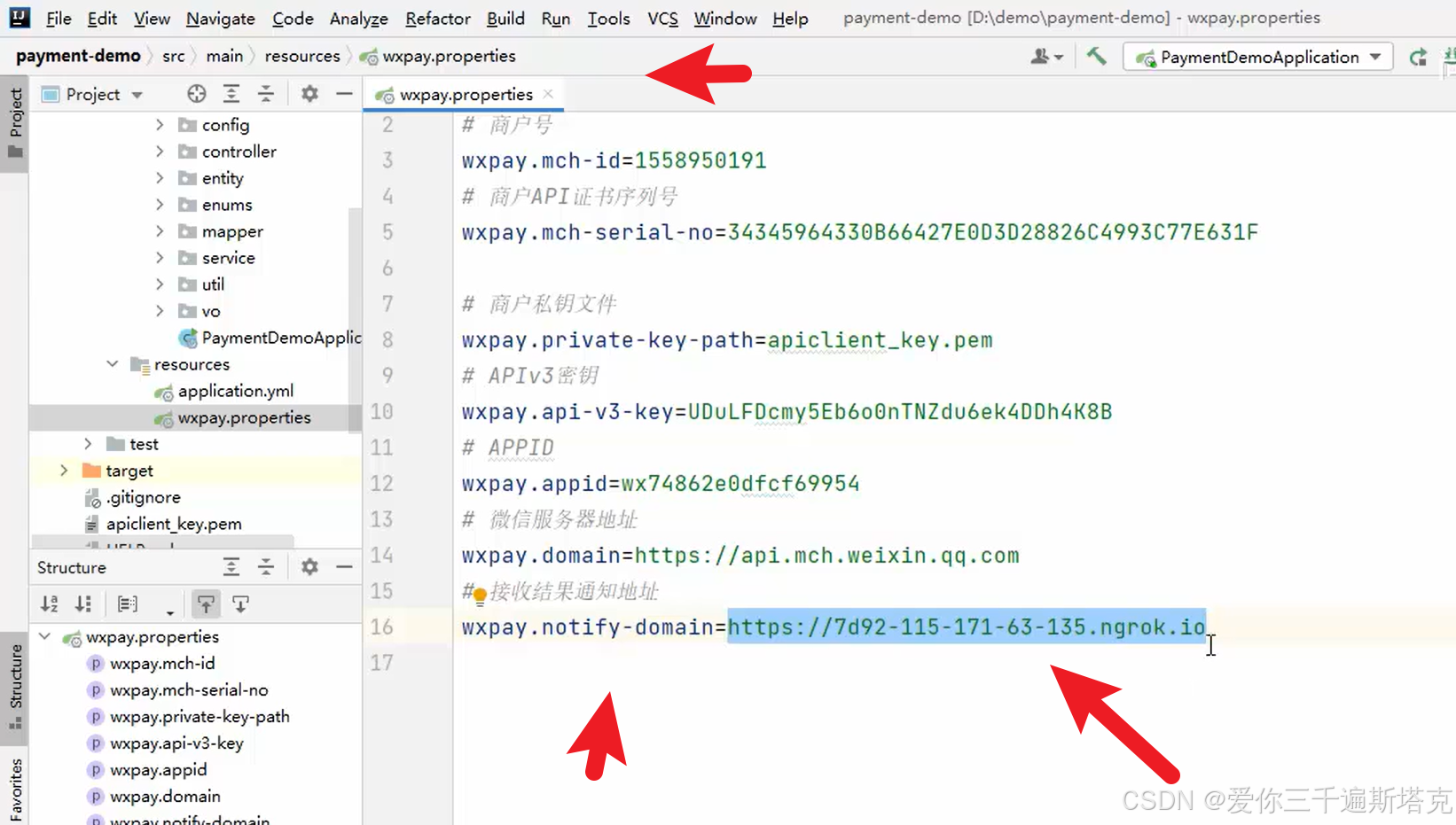 微信支付47，基础支付APlv3--支付通知--内网穿透，接收结果通知地址在wxpay.properties里面_微信sdk apiv3 支付通知-CSDN博客