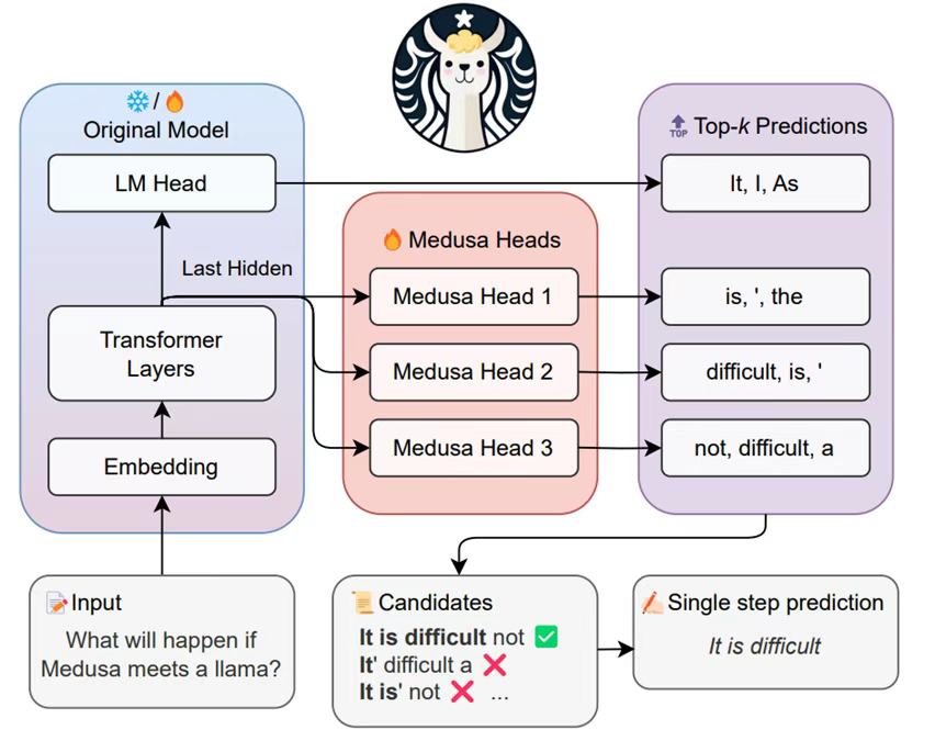 【LLM】大模型投机采样Speculative Sampling推理加速-CSDN博客