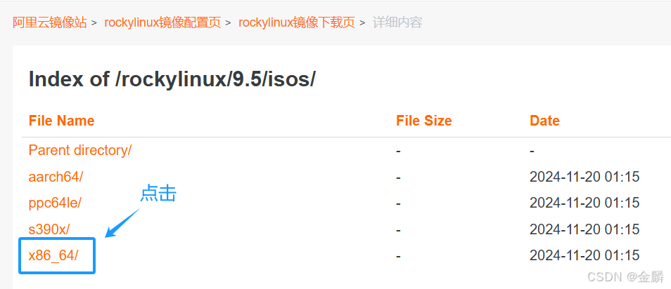 VMware Workstation Pro安装rocky9.5虚拟机_rocky9.5安装教程-CSDN博客