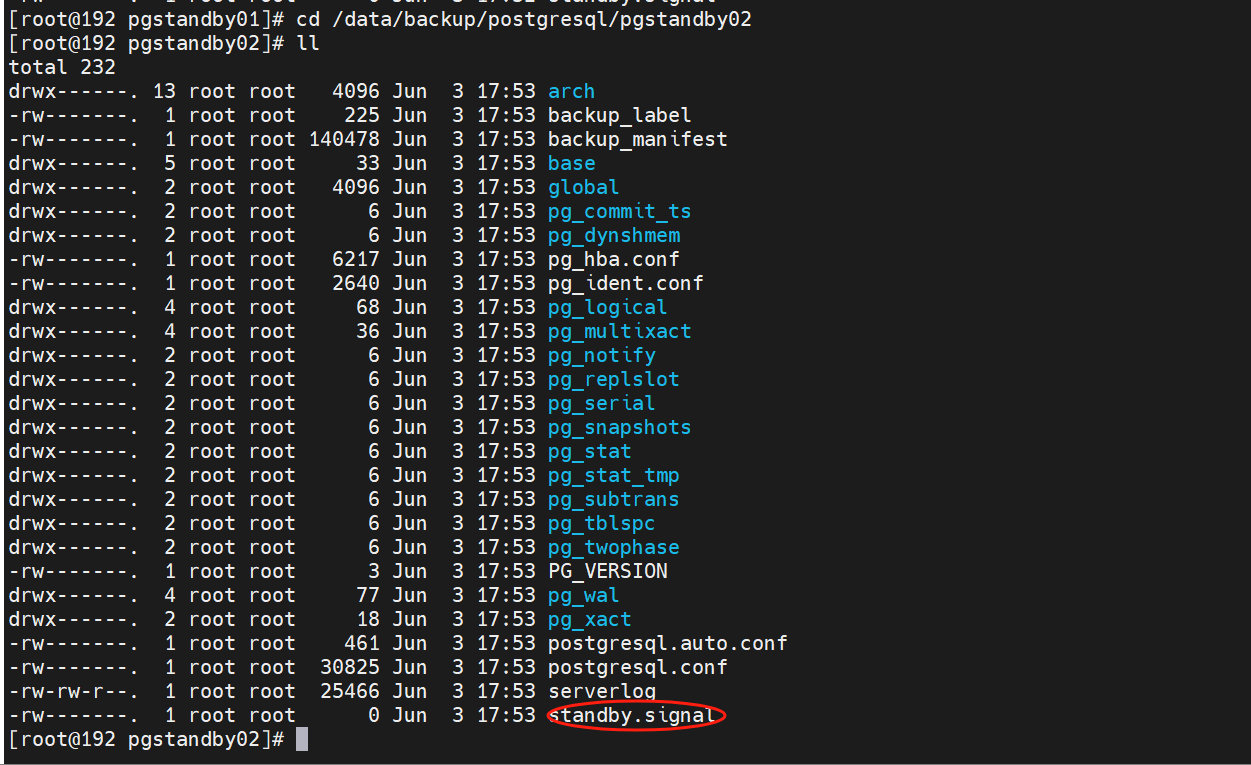 PostgreSQL【高可用篇】01：PostgreSQL17.5版本【宿主机】主从复制搭建_postgresql 高可用-CSDN博客