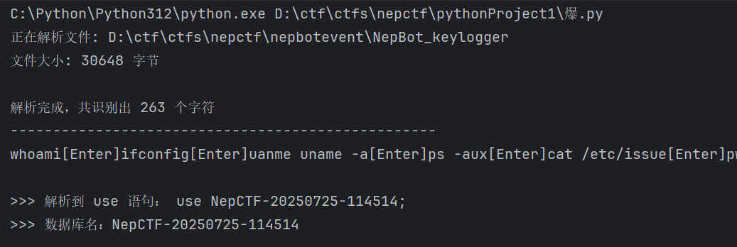 NepCTF2025 misc部分 WP-CSDN博客