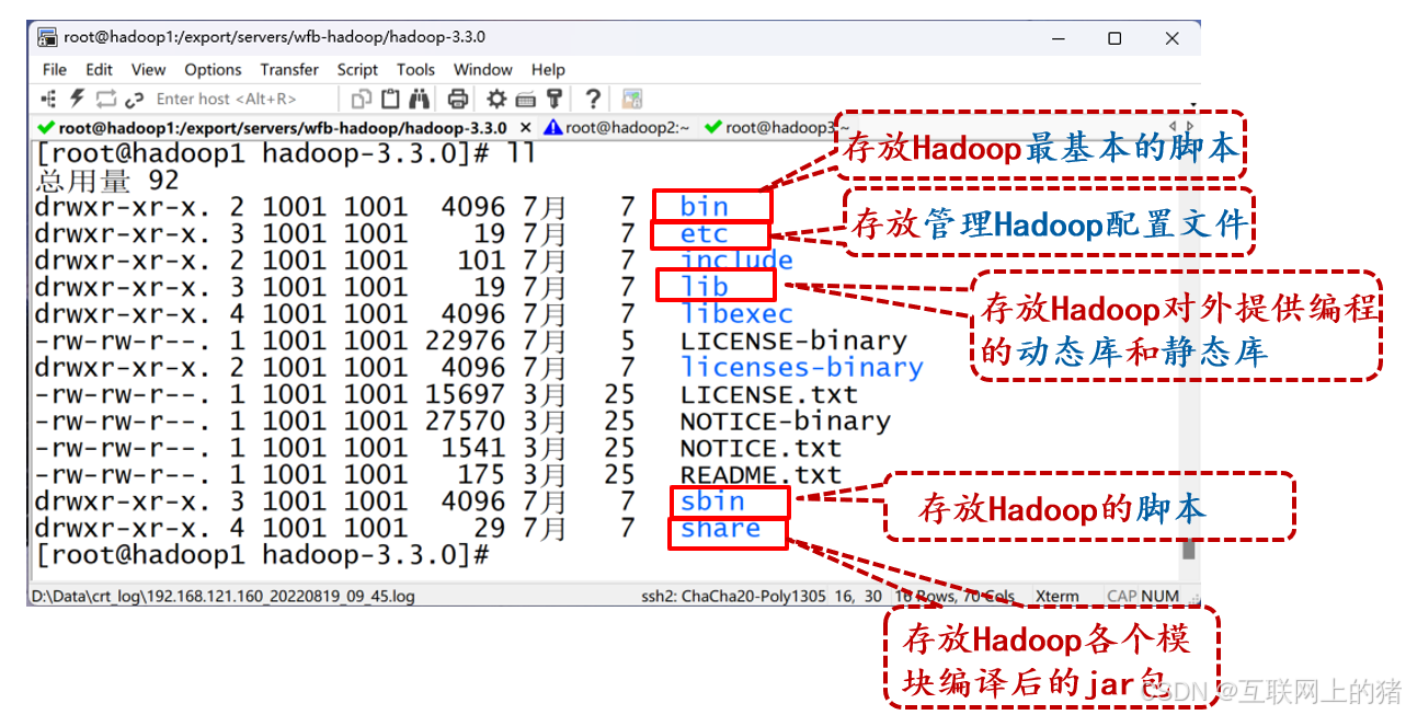 VMware上部署Hadoop集群（包括部署前的VMware安装和创建准备、克隆虚拟机、免密登录、JDK的安装、伪分布式部署和完全分布式部署）（新手友好，巨详细）_vmware安装hadoop ...
