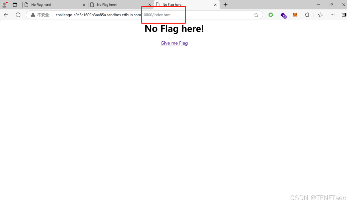 CTFHUB HTTP协议 - 302跳转_ctfhub302跳转-CSDN博客