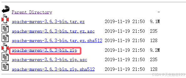 IDEA安装配置jdk11+maven 3.6.0+_idea 配置jdk11-CSDN博客