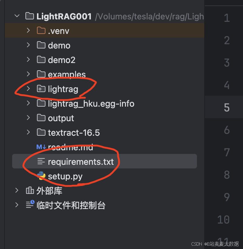 LightRAG的简单构建测试_lightrag demo-CSDN博客