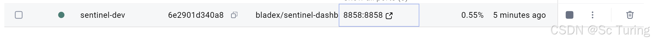 docker安装sentinel【简易】-CSDN博客