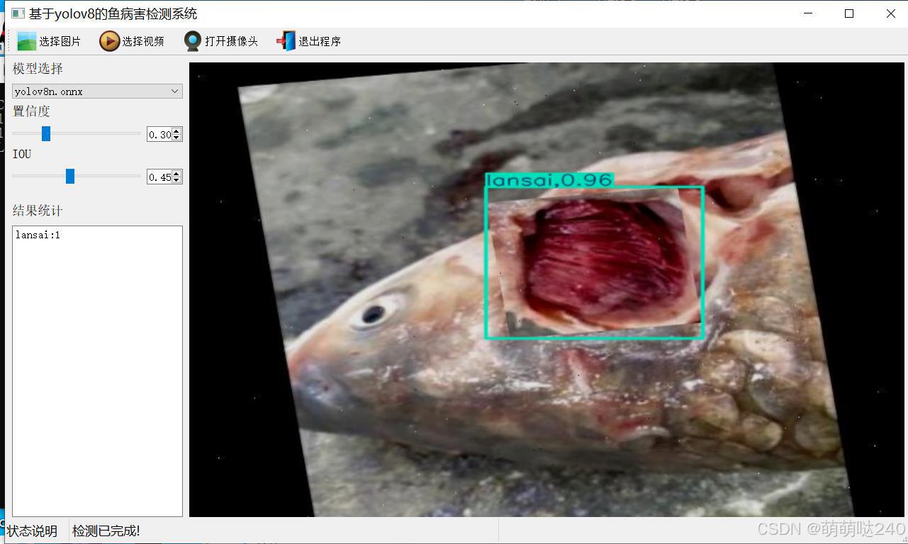 基于yolov8的鱼病害检测系统python源码+onnx模型+评估指标曲线+精美GUI界面_how to counting fish sonar in yolov8-CSDN博客