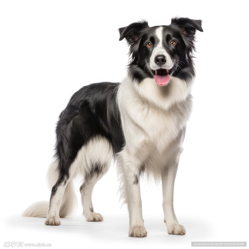 使用RunningHub平台进行AI创作_runninghub官网登录入口-CSDN博客