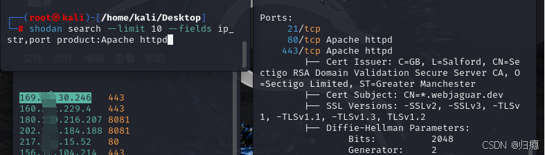 shodan笔记【全】_shodan语法-CSDN博客