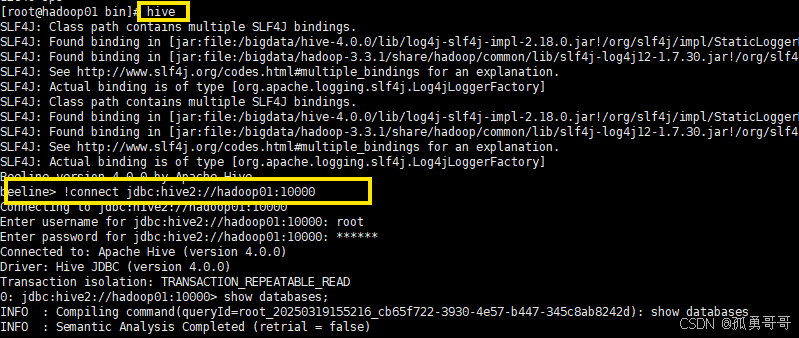 Hive4.0部署_hive4.0安装-CSDN博客