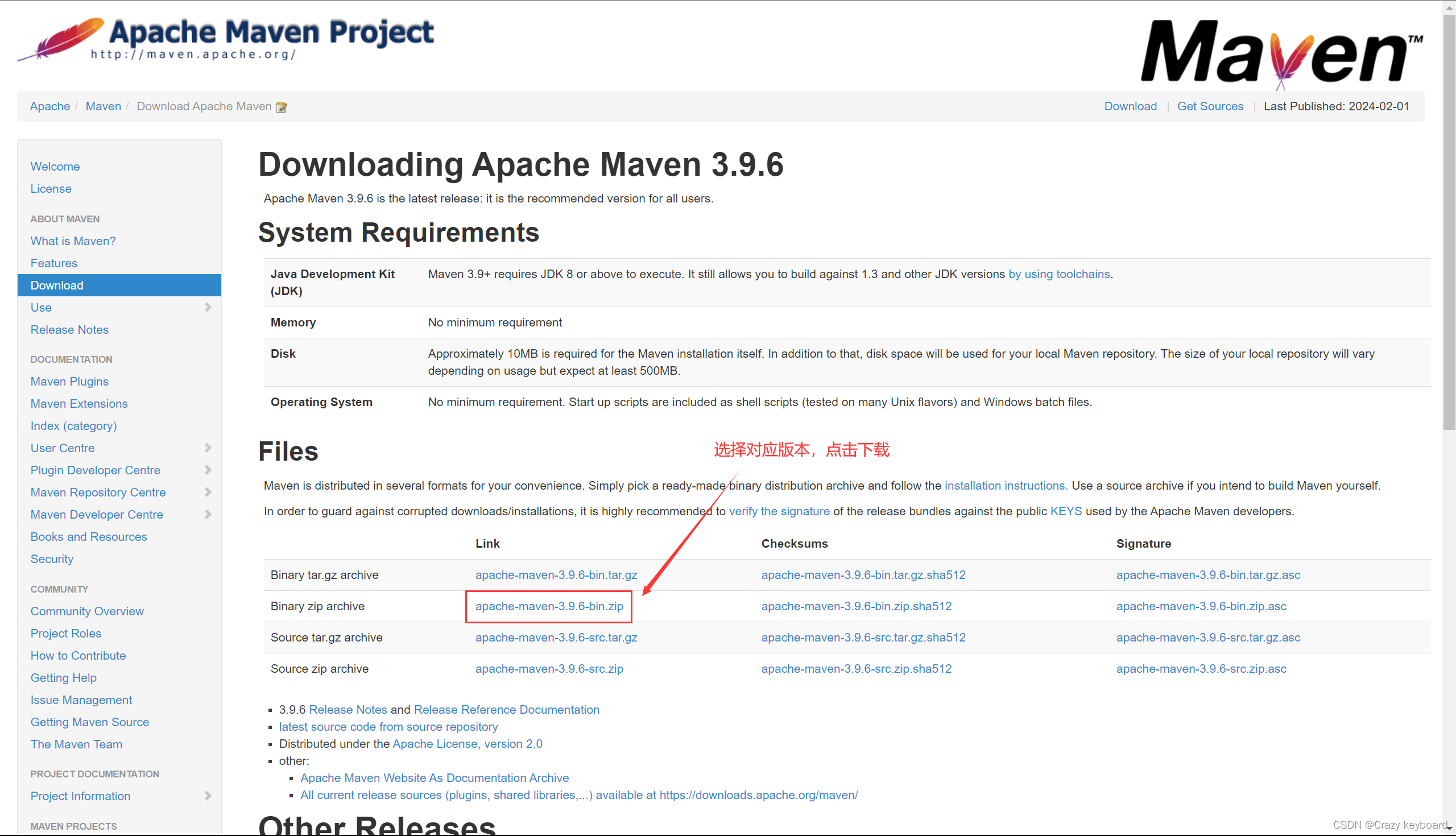 JDK安装 nodejs Maven-CSDN博客