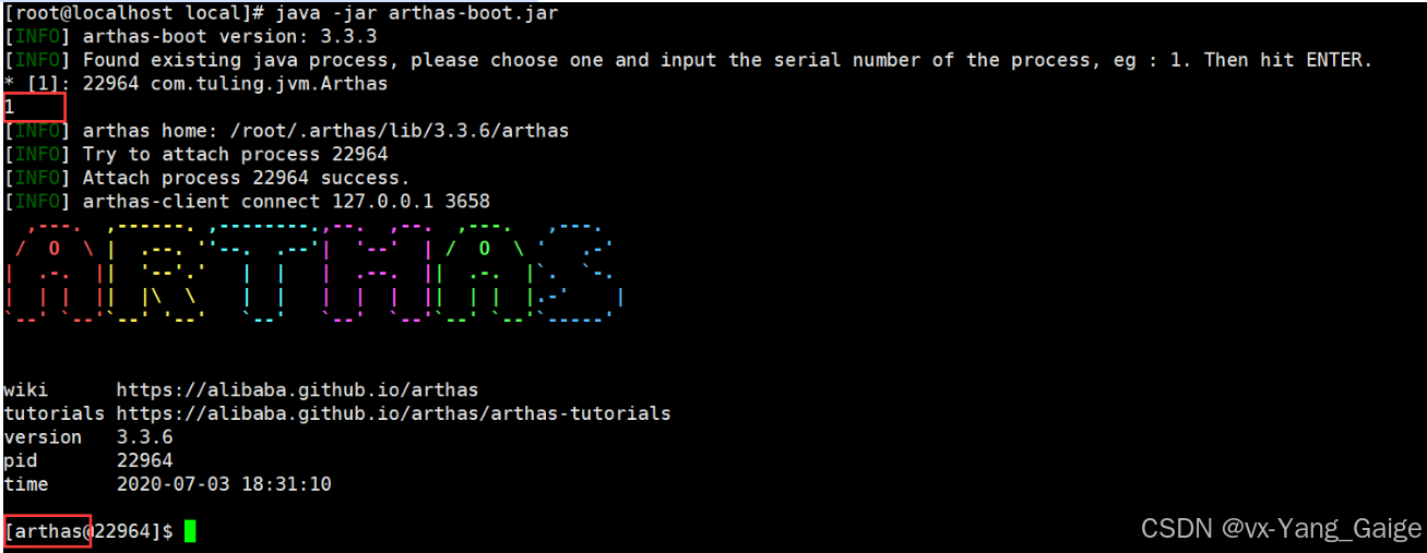 JVM调优实战及常量池详解（阿里巴巴Arthas详解）_阿里工具 jvm-CSDN博客