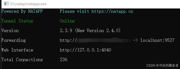 Web使用natapp进行内网穿透和预览本地页面-CSDN博客