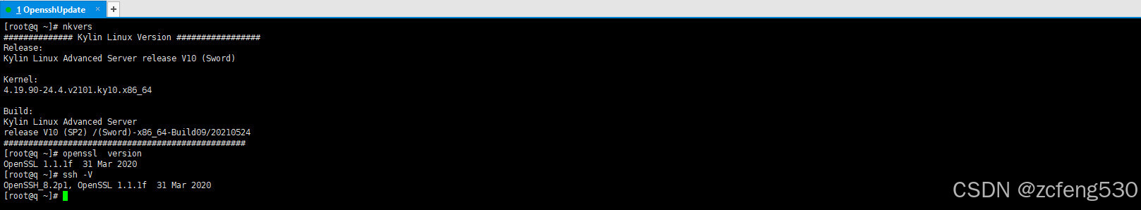 KylinV10sp2升级openssh9.8_麒麟v10sp2升级openssh-CSDN博客
