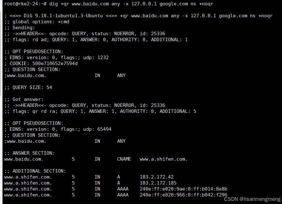dig 命令查询（五）_dig mac指令-CSDN博客