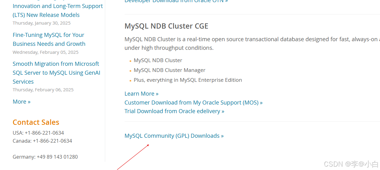 安装MySQL（小白版）_mysql server only-CSDN博客