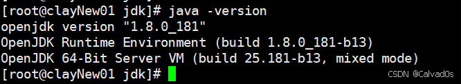 【Java架构 搭建环境篇一】Linux安装JDK8与JDK11详细教程-CSDN博客