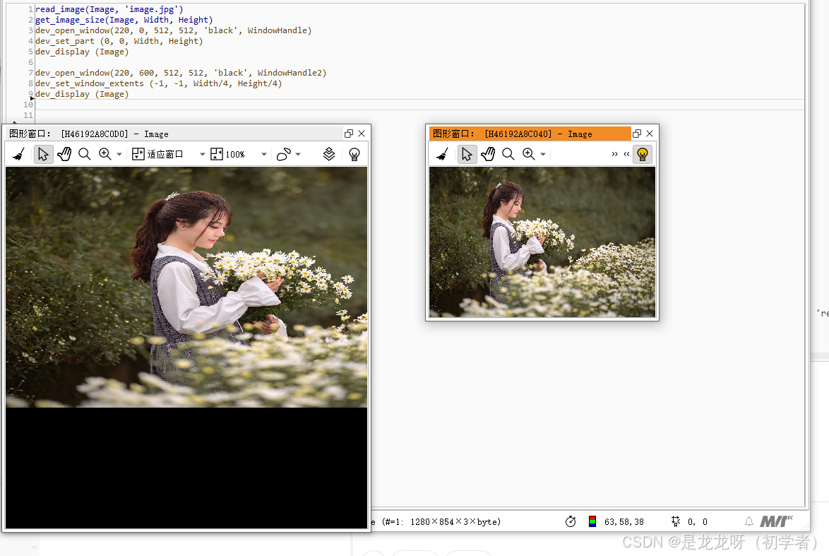 Halcon中dev_set_part和dev_set_window_extents区别_halcon setwindowextents-CSDN博客