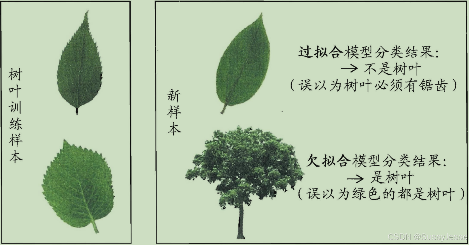 Charlie的 Datawhale 吃瓜教程 task1 笔记-CSDN博客