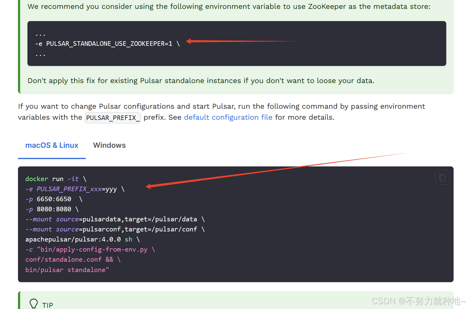 apache pulsar 安装最新版本， docker安装pulsar4.0.0 北极星mq安装_pulsar 4.0-CSDN博客