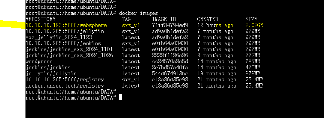 【Docker】我的Docker仓库（局域网服务器---访问---电脑中的虚拟机（VMware）---中的Docker仓库）_如何访问本机虚拟机上的docker-CSDN博客