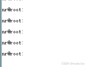 nr_micro_shell回车不输出用户名问题_nr micro shell显示滞后-CSDN博客