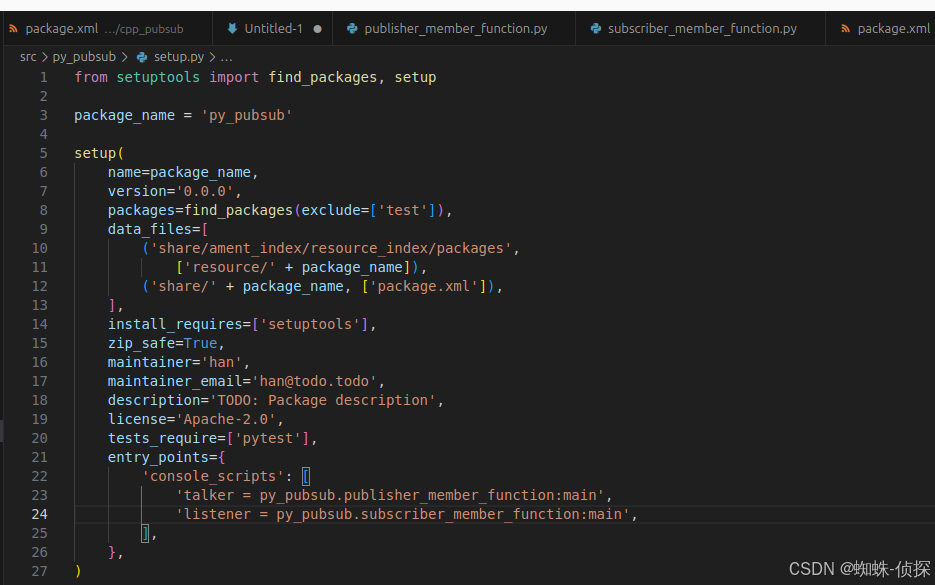 ROS2 - Python工程创建和工程解析_ros2 python-CSDN博客