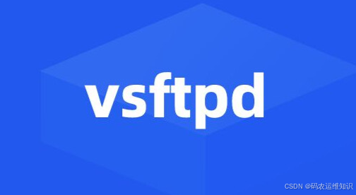 Docker容器部署vsftpd,快速且方便（兼容多系统）_docker vsftpd-CSDN博客