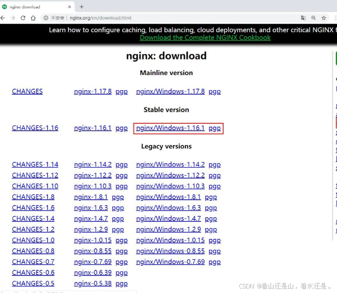 Windows 下安装 Nginx_windows nginx 安装包-CSDN博客