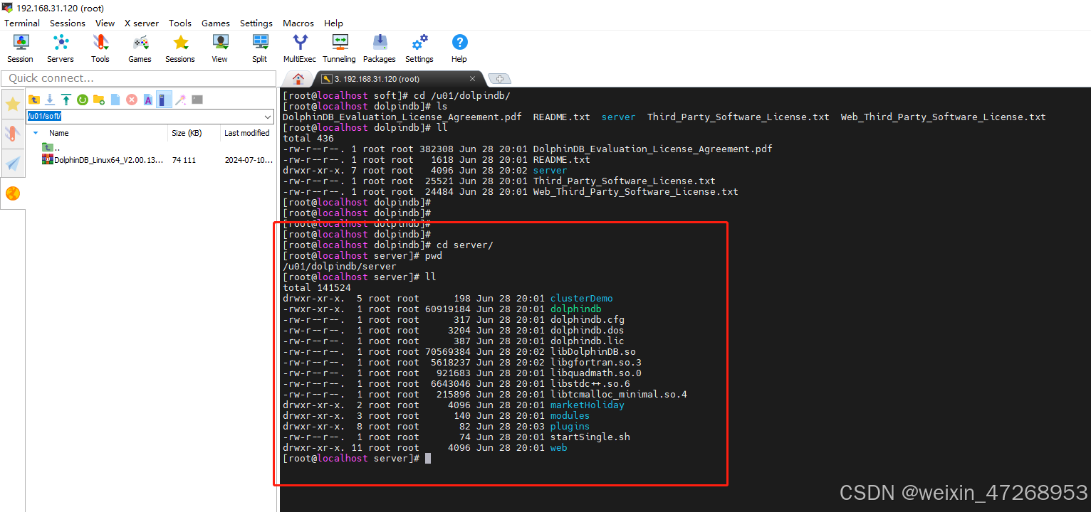 DolphinDB安装部署手册-CSDN博客