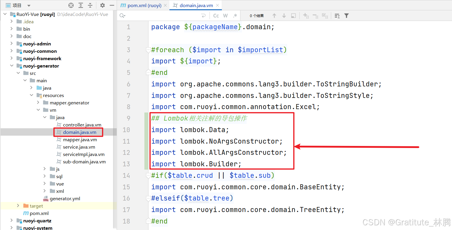 若依框架-代码生成器_lombok集成_若依集成lombok-CSDN博客